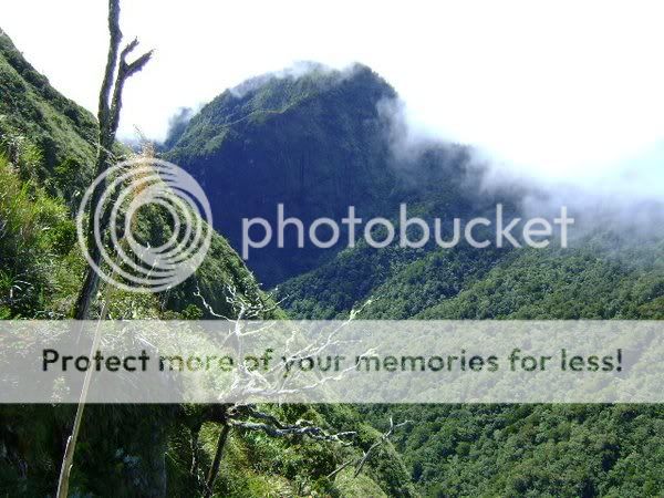 Must See Monday: MT. KITANGLAD RANGE NATURAL PARK (MKRNP) | Green ...