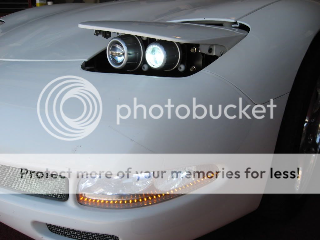 GROUP PURCHASE- Sun Guns Projector Lighting System- From JWM ...